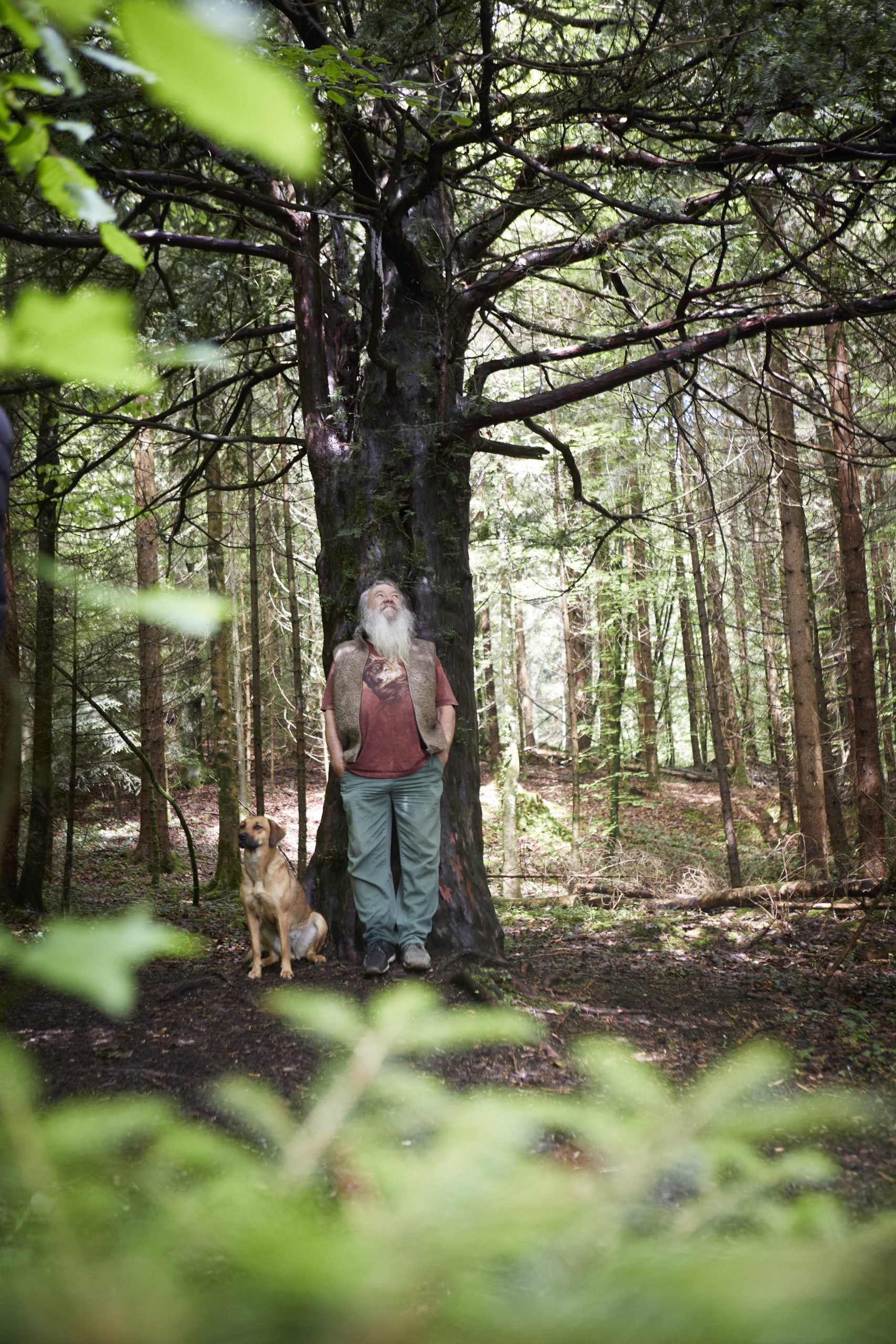 Über Mich • storl.de