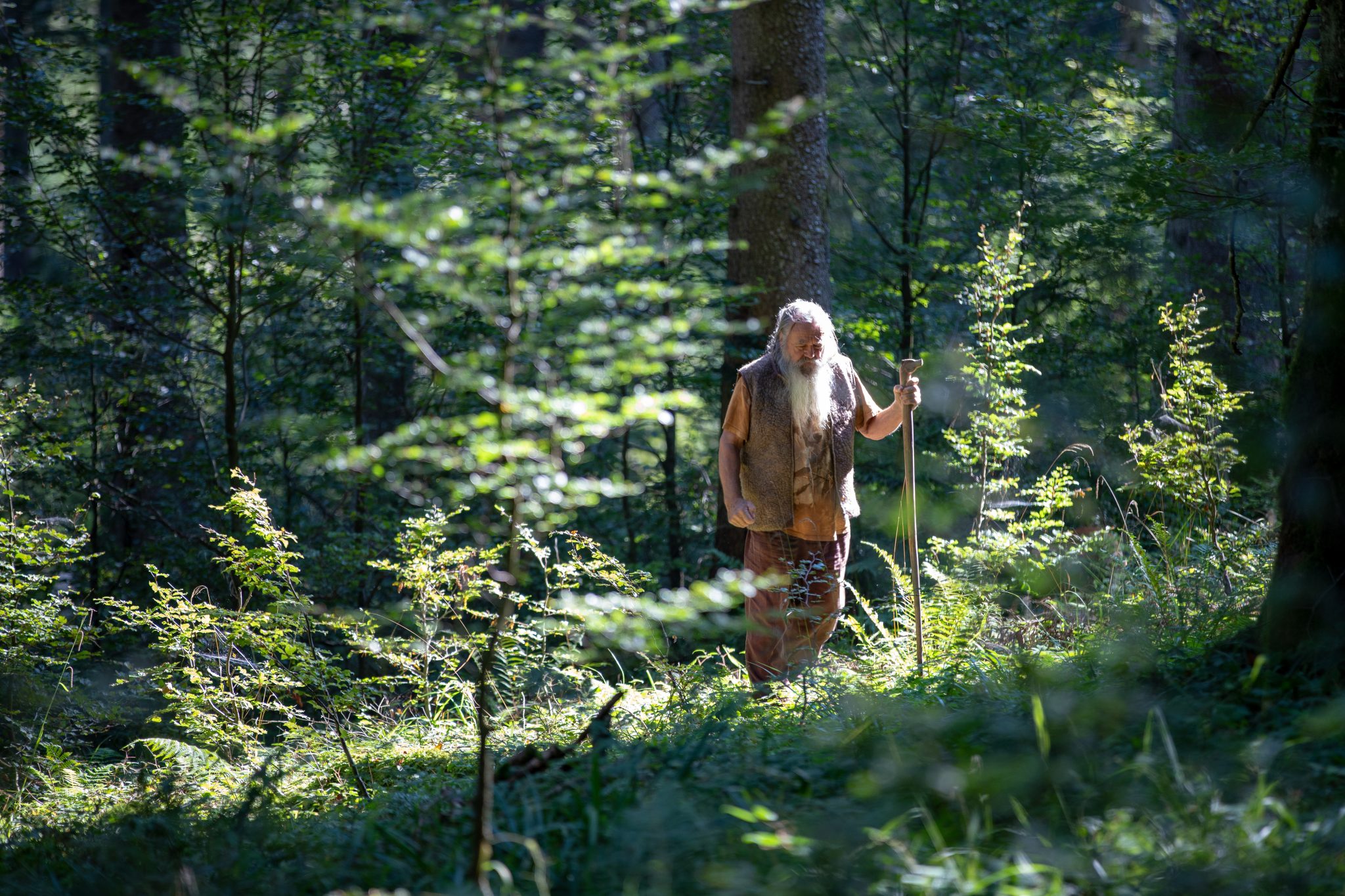 Herzlich Willkommen bei Wolf-Dieter Storl • storl.de